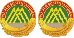 70th Support Battalion Unit Crest