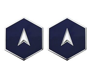 Space Force Specialist 1 Metal Rank